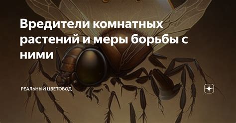 Вредители комнатных растений и меры борьбы с ними Территория филантропов Дзен