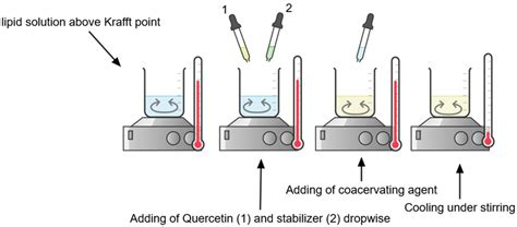 Steps Of Coacervation Process For Quercsln Created With Chemix