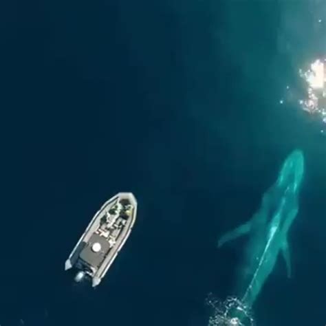 Lesego Aaron Letsholo Posted On Linkedin