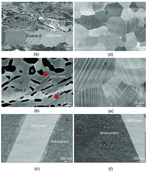 Ecc Images Showing The Deformation Structures And Substructures Of The Download Scientific