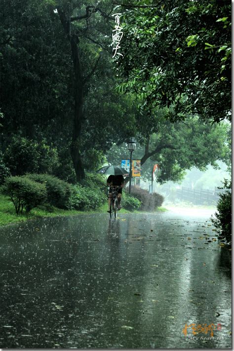下雨天图片大全风景 雨天公园图片 2 伤感说说吧