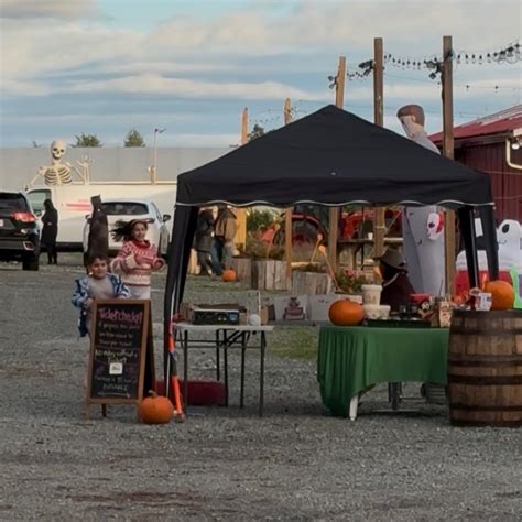 2025 Year In Review At Kassa Farm Kassa Farm