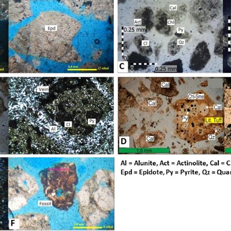 The Thin Section Analysis Of Several Core Samples A Thin Section From Download Scientific