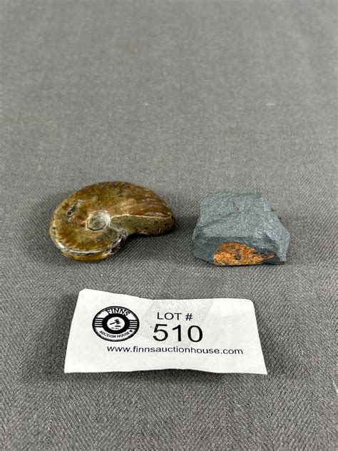 Hematite Stone And Ammonite Fossil Specimen Retails 18000 Each