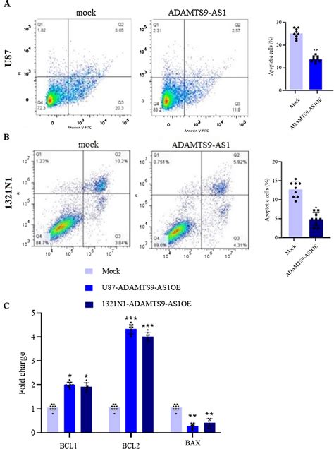 Adamts9 As1 Overexpression Affects U87 And 1321n1 Cell Lines Apoptosis