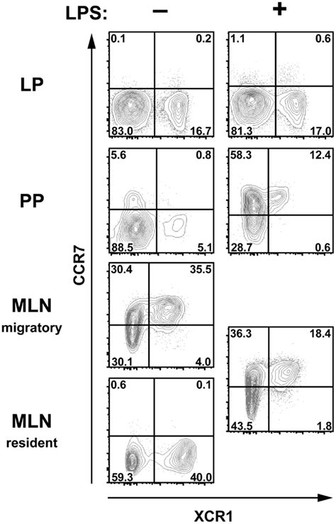 Frontiers Ontogenic Phenotypic And Functional Characterization Of