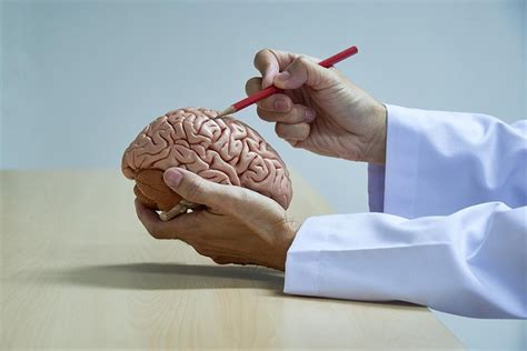 طبيب يوضح الأمراض التي تهدد صحة الدماع وطرق الوقاية منها الكونسلتو
