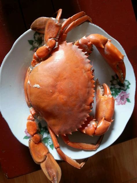 清蒸青蟹怎么做 清蒸青蟹的做法 豆果美食