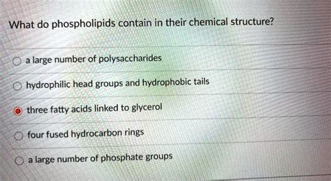 What Do Phospholipids Contain In Their Chemical Structure A Large Number Of Polysaccharides