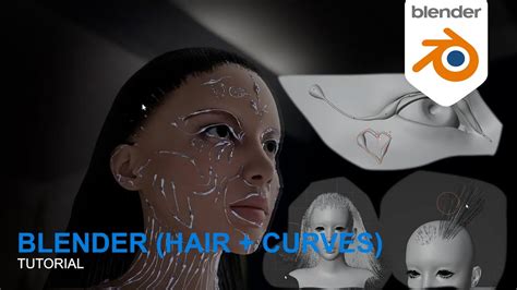 Create Hair And Curves ↩️👩‍ Blender Youtube