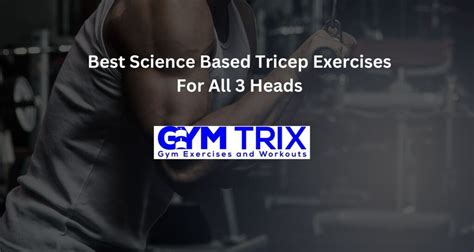 Best Science Based Tricep Exercises For All 3 Heads Gym Trix