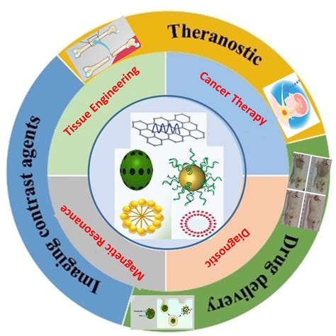 Functional Nanomaterials In Biomedicine Current Uses And Potential Applications Diez‐pascual