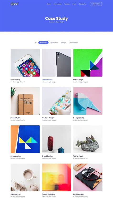 Oppi Multi Niche App Showcase Wordpress Theme Website Design Wordpress Wordpress Web Design