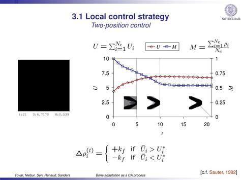 ppt bone structure adaptation as a cellular automaton optimization