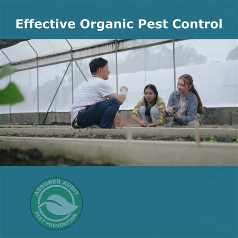 Assured Audit Pest Prevention On Linkedin Pestcontrolservices