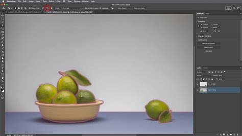 using the object selection tool to quickly edit images in photoshop