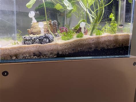Substrate Layers Raquariums