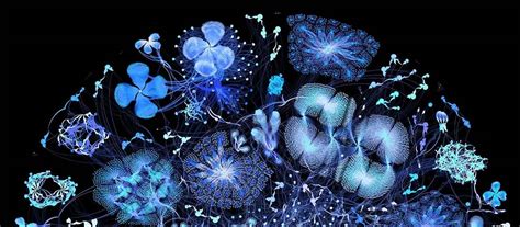 Accelerating Block Sparse Matrix Multiplication On Ipus With Popsparse