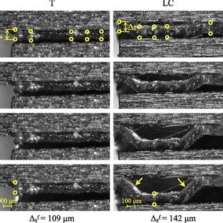 In Situ Snapshots Of The Interfacial Damage Evolution Of Different