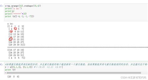 numpy 基础2 np array false 什么意思 CSDN博客