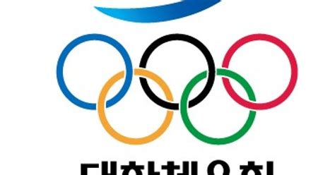 대한체육회 정 가맹 경기단체 공정선거 지원단 운영