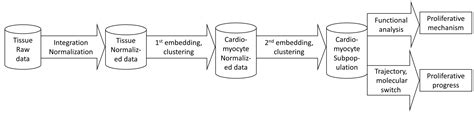 Analyze Single Cell With Ai Based Pipeline In R Jay Zhang Lab