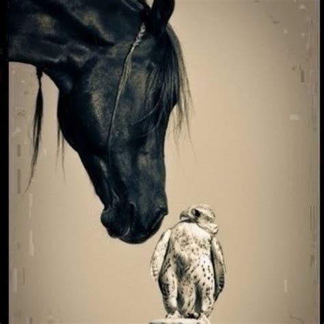 عبدالرحمن البواردي Youtube