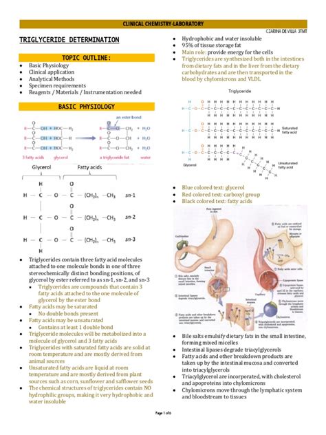 Cc Lab Triglyceride Determination Pdf High Density Lipoprotein