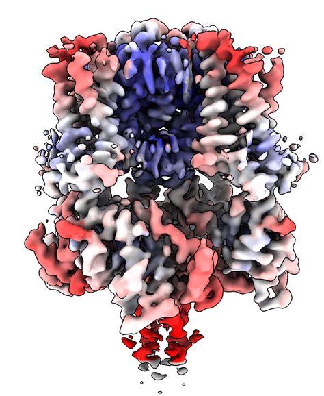 Ucsf Chimerax Tutorials
