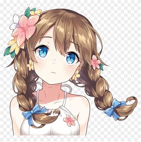 Anime Braids Doublelovely
