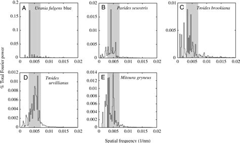 Radial Averages Of Two Dimensional Fourier Power Spectra From Tem