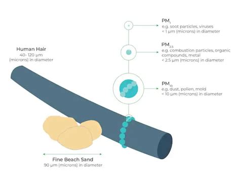 Particulate Matter Monitoring Know About PM2 5 Oizom