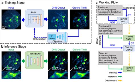 Overview Of The Deep Neural Network Dnn Based Method For Video Rate
