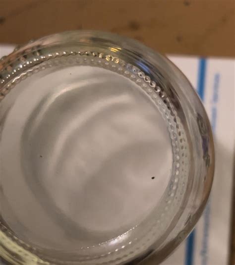 Bedbug Nymph R Bedbugs