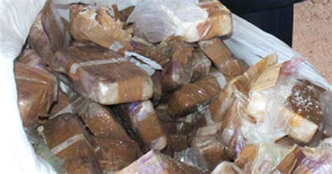 G Maior apreensão de pasta base de cocaína é incinerada em São Luís notícias em Maranhão