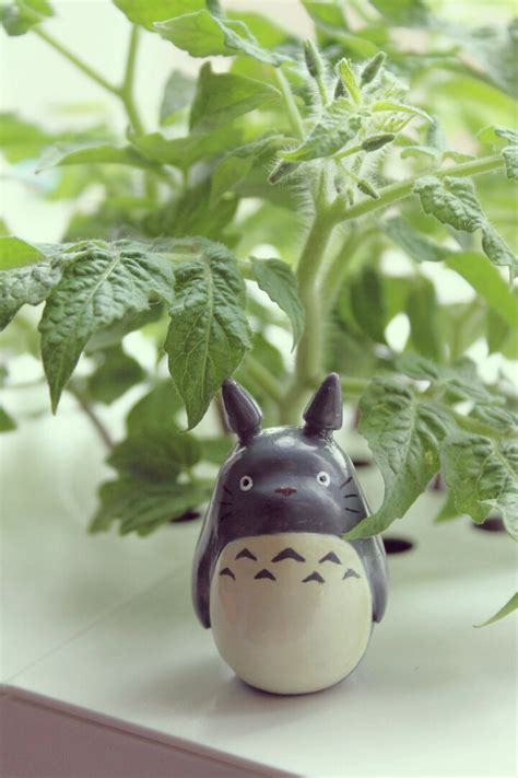 Фигурка Тоторо / totoro :: Миядзаки (Миядзаки Хаяо, хаяо миядзаки ...