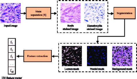 Hv Feature Extraction Methodology Download Scientific Diagram