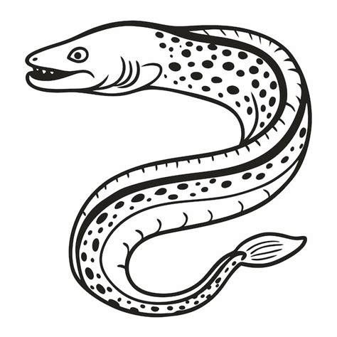 Illustration Of A Spotted Eel In Black And White Line Art Style Premium Ai Generated Vector