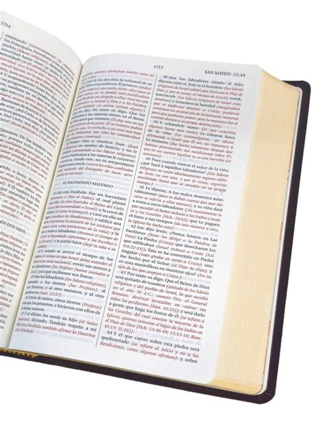 Biblia De Estudio Del Expositor De Jimmy Swaggart De Piel Cuero Color