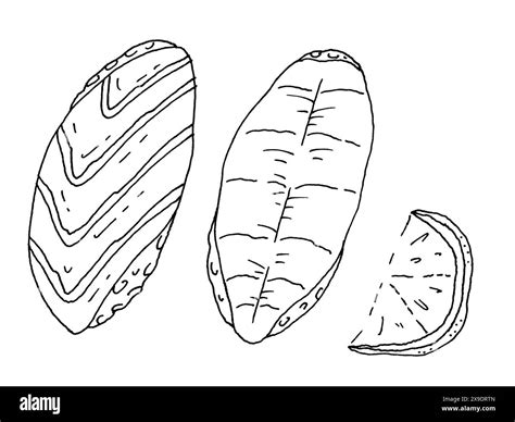in a monochrome drawing there are three distinct types of food