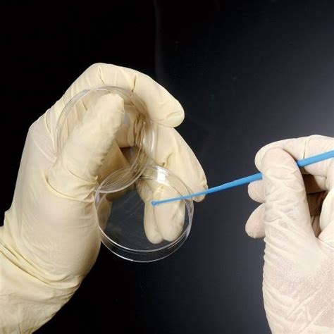 1μl 10μl Inoculating Loops And Needles Manufacturers And Suppliers