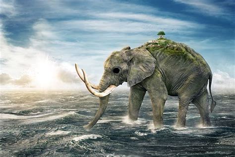 Zunisha On Behance Digital Art Photo Manipulation Art Direction