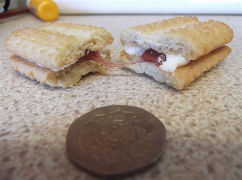 Biscuitsblog Featured Biscuit The Foxs Raspberry And Cream Melt