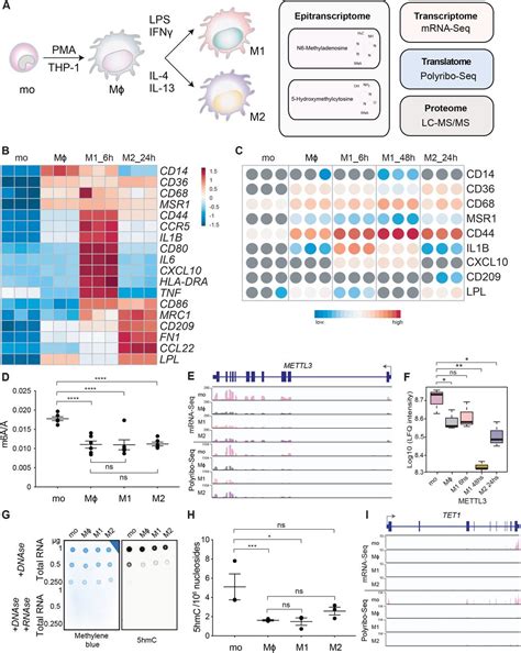 Smarter Stranded Total Rna Seq Kits V2 Takara Bioz