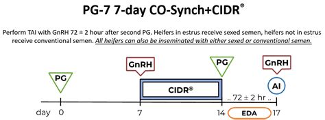 Sexed Semen Protocols Beef Reproduction Task Force