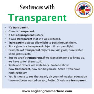 Sentences With Transparent Transparent In A Sentence In English Sentences For Transparent