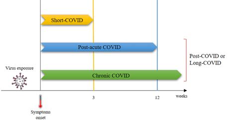 First Classification Of Post Covid 30 Download Scientific Diagram