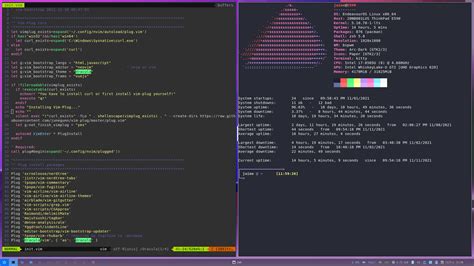 trying out vim bootstrap a try dracula bg color is wrong neovim