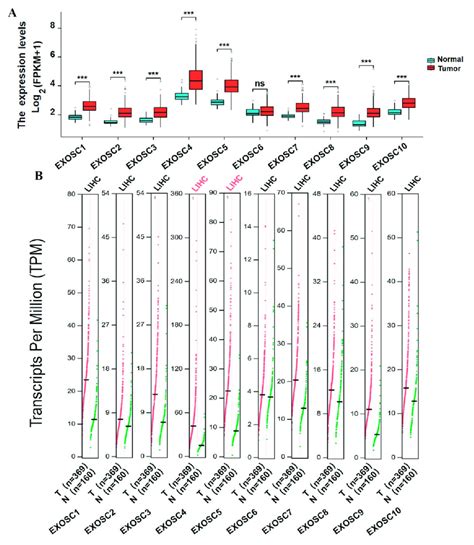 The Mrna Expression Of Exoscs In Hcc Tumor And Normal Tissues A The