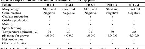 Figure 1 From Characterizations Of Sulfur Oxidizing Bacteria From
